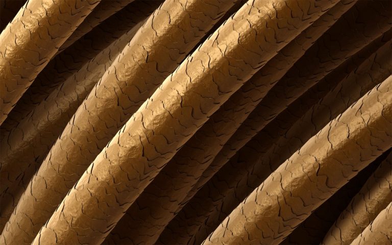 Como selar a cutícula do cabelo: 7 dicas para manter a hidratação por ...